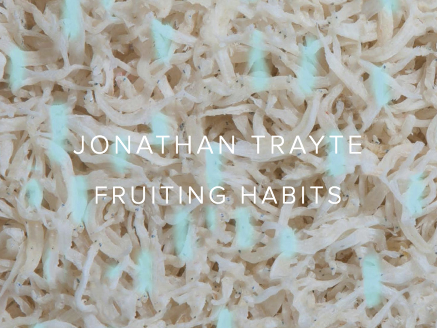 Jonathan Trayte – Friedman Benda