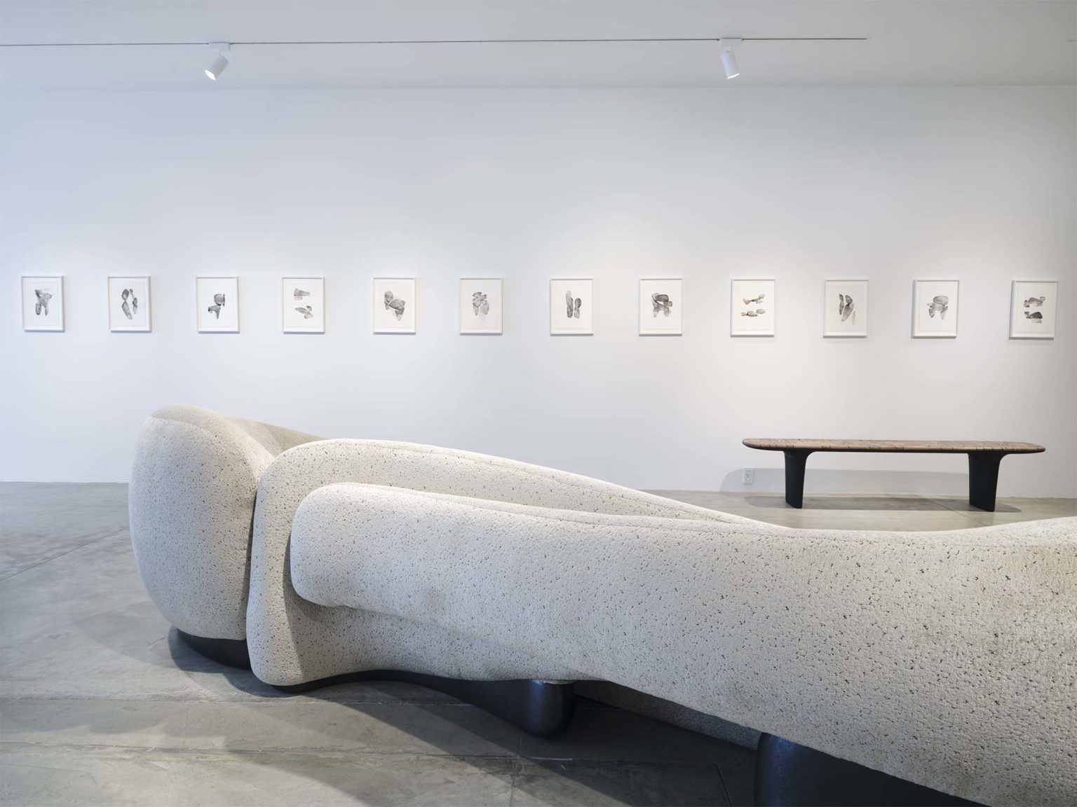 RAPHAEL NAVOT: ON THE SAME SUBJECT – Friedman Benda