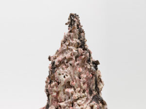 Raphael Navot – Friedman Benda